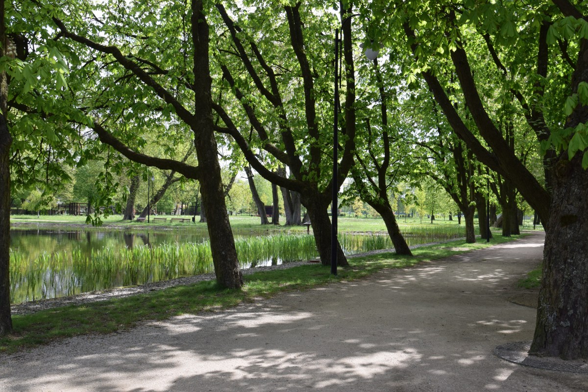 Miejski Plan Adaptacji do zmian klimatu - www.nasze.fm - regionalny ...